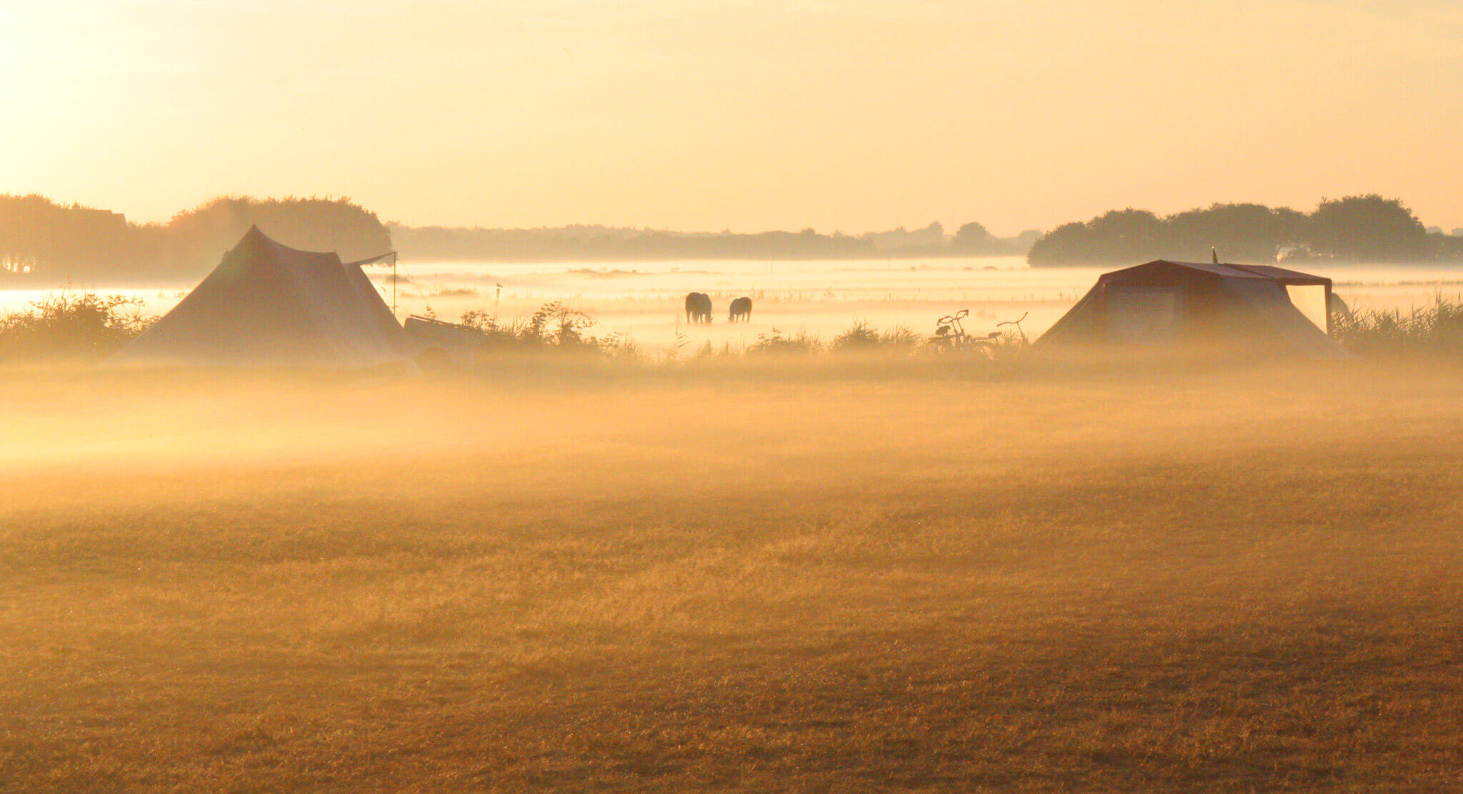 Buchen Sie Camping De Kooi auf Terschelling